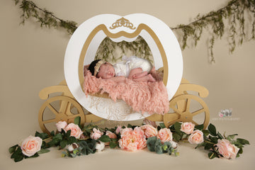 Beds - Stands – Newborn Studio Props